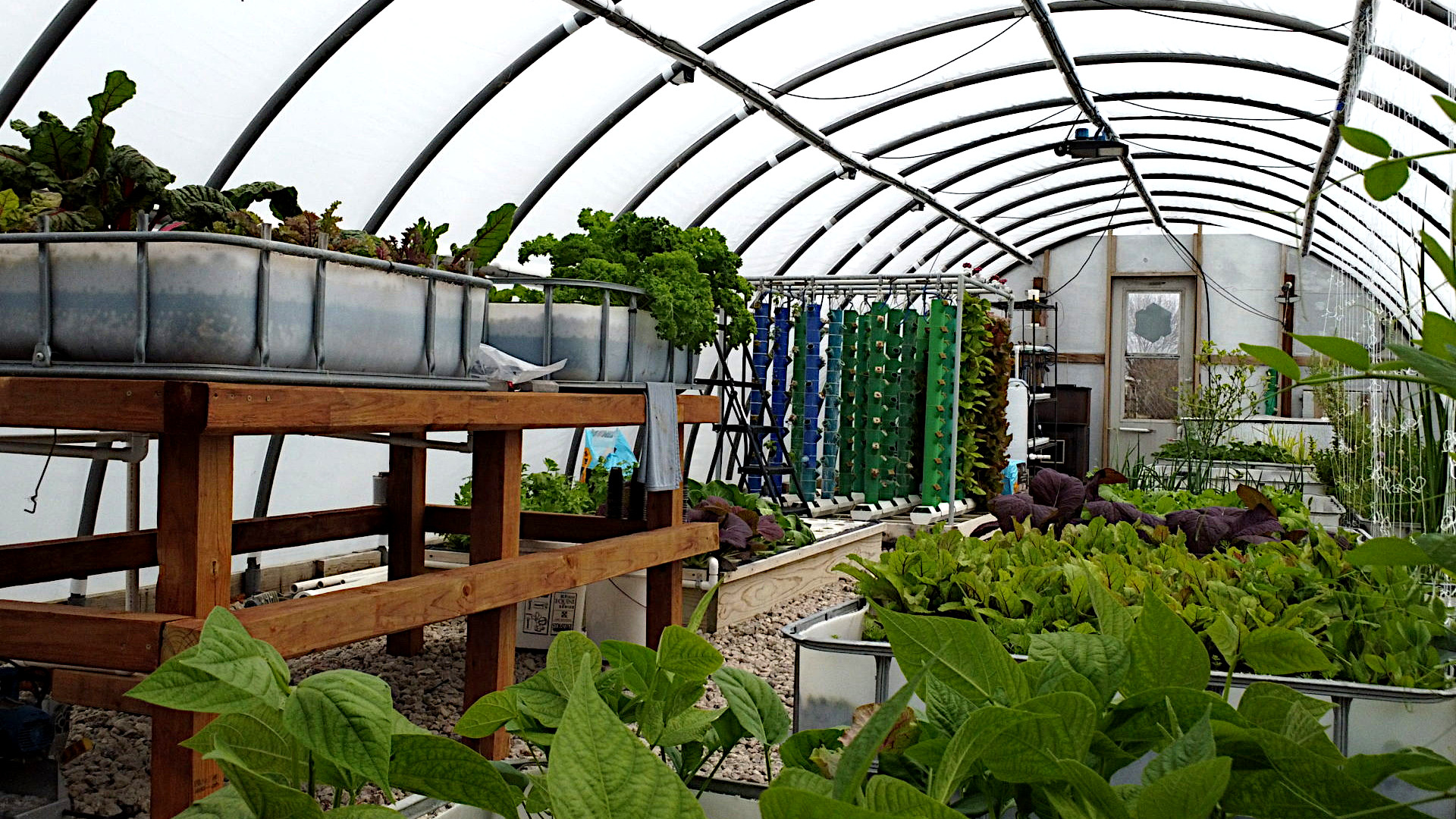 Custom Grow Operation Engineering – Panhandle Ponics R&D